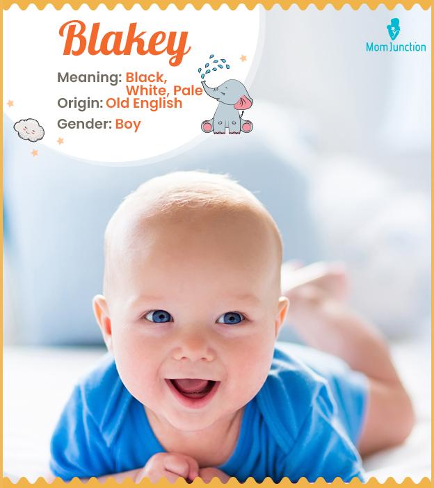 Blakely Name Meaning, Origin, History, And Popularity