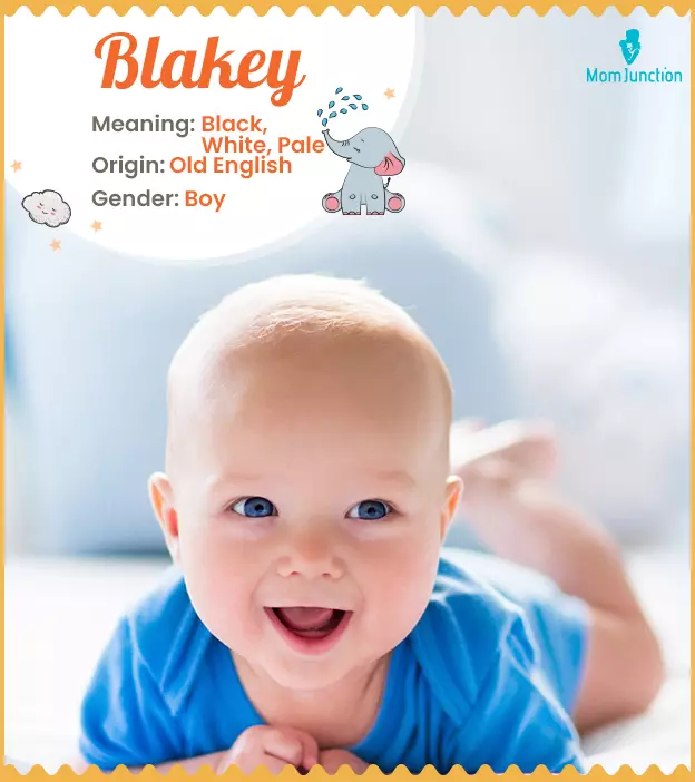 Blakely Name Meaning, Origin, History, And Popularity