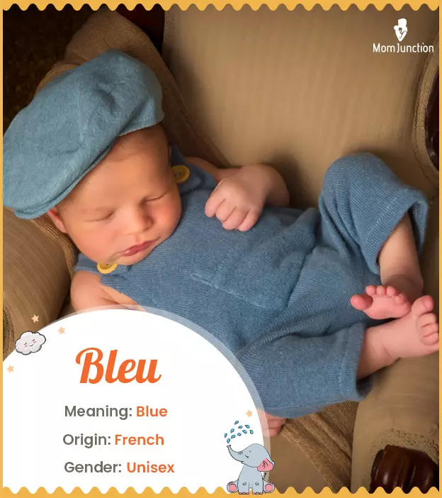 Origin, Meaning & Other Facts About Baby Name Bleu