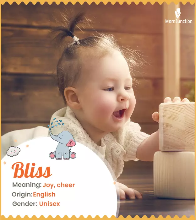 Bliss Definition Bliss Meaning Positive Words Dictionary 135 Baby Bliss Definition Bliss Meaning Positive Words Dictionary 135 Baby