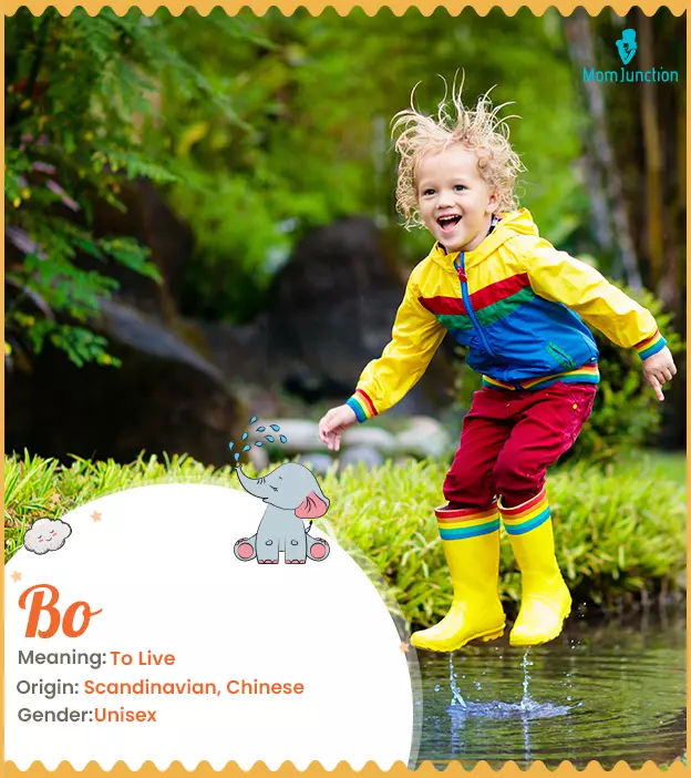 Bo Name Meaning, Origin, History, And Popularity