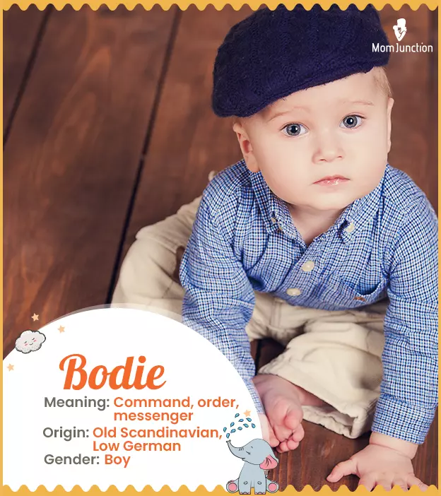 Bodie Name Meaning, Origin, History, And Popularity
