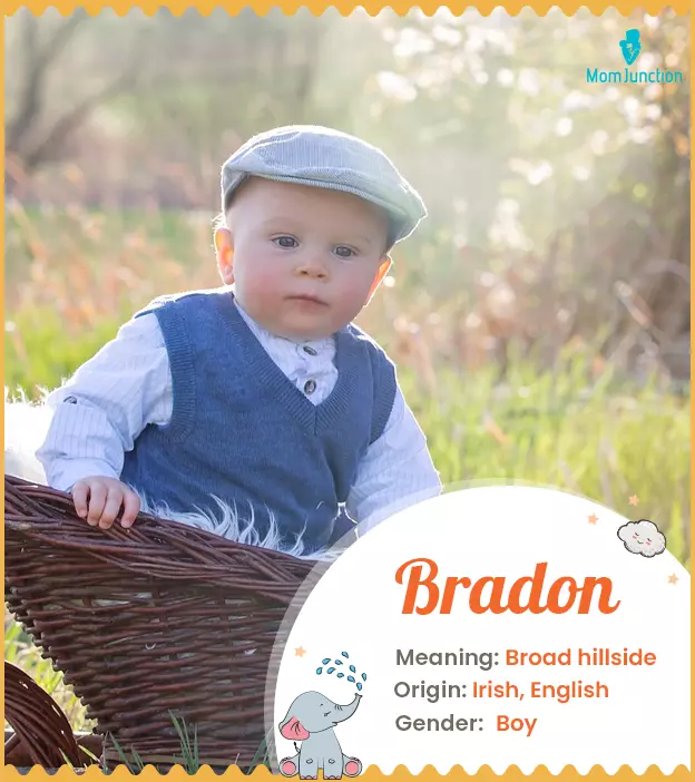 Origin, Meaning & Other Facts About Baby Name Bradon