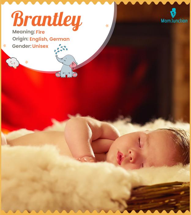 Brantley Name Meaning, Origin, History, And Popularity