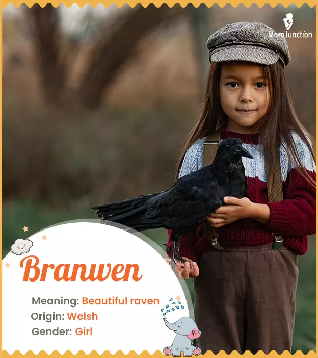 Branwen Name Meaning, Origin, History, And Popularity