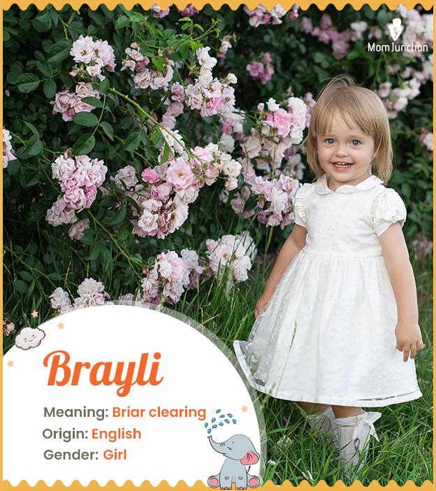 Zavier Name Meaning, Origin, History, And Popularity