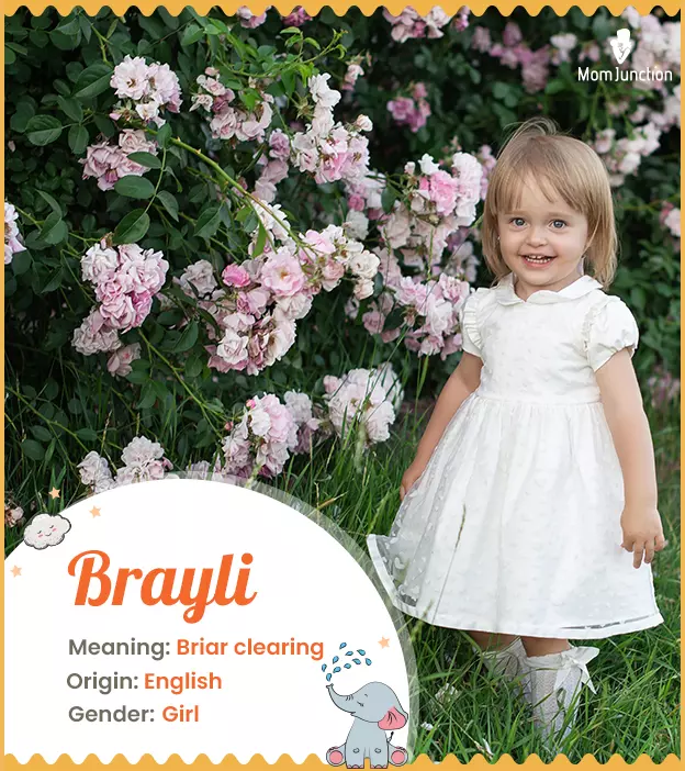 Briar Plant Pronunciation