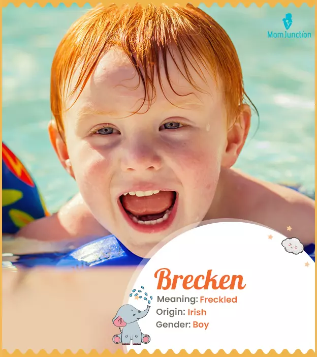Brecken Name, Meaning, Origin, History, And Popularity