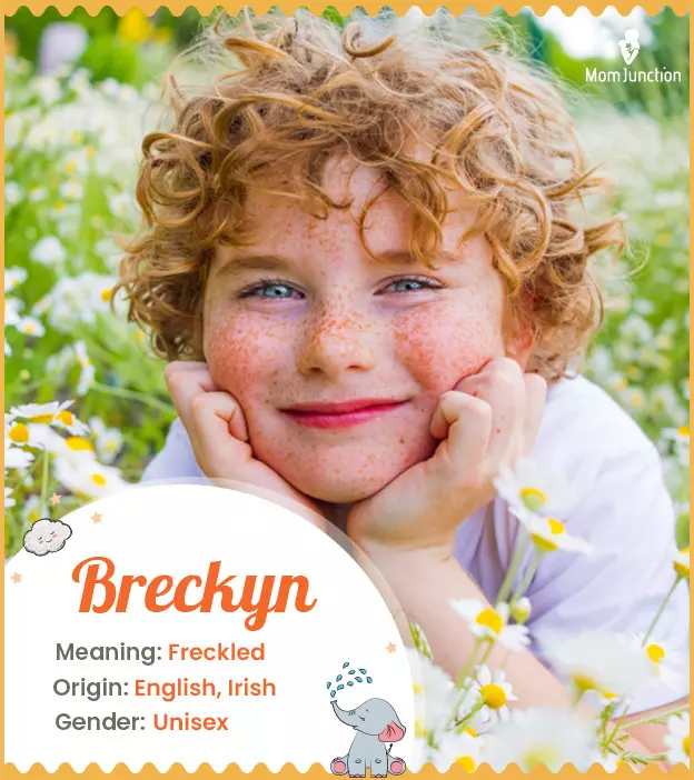 Breckyn Name Meaning, Origin, History, And Popularity