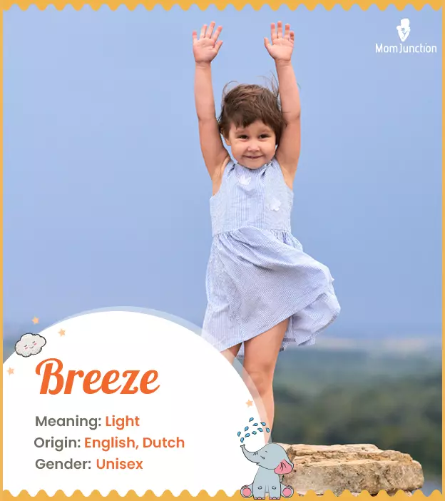 Origin, Meaning & Other Facts About Baby Name Breeze Name: Meaning ...