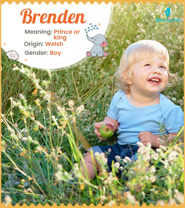 Brenden Name Meaning, Origin, History, And Popularity