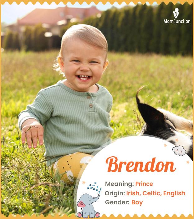 Brendon Name Meaning, Origin, History, And Popularity