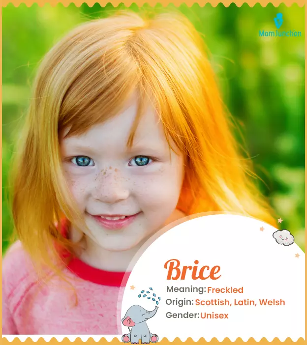 Brice Name Meaning, Origin, History, And Popularity
