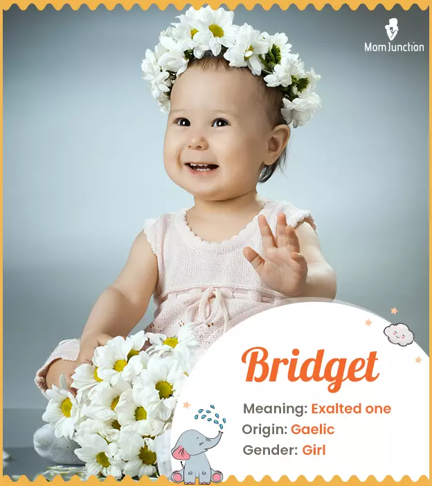 Bridget Name Meaning, Origin, History, And Popularity