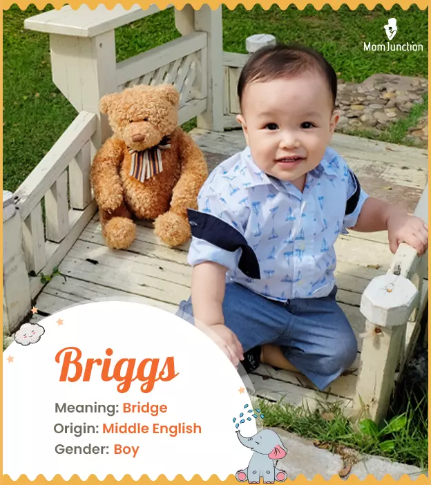 Origin, Meaning & Other Facts About Baby Name Briggs