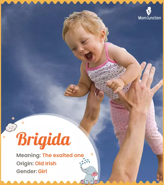 Brigida Baby Name: Meaning, Origin & Complete Guide
