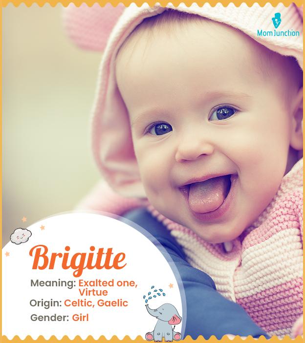 Brittle Popularity Meaning at Sabrina Swensen blog