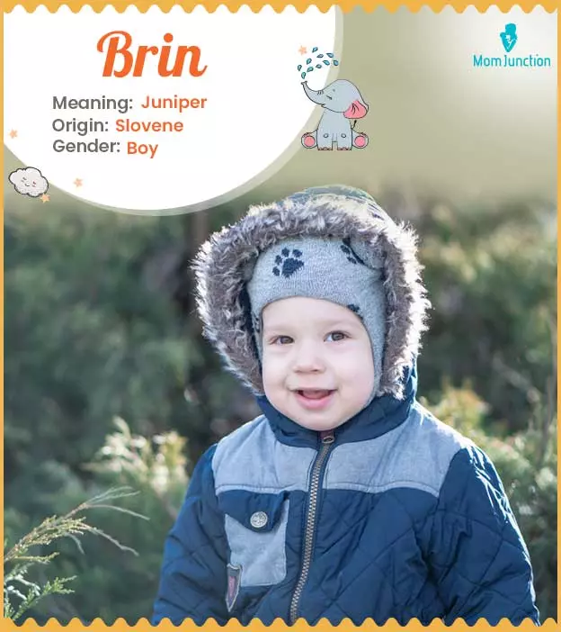 Origin, Meaning & Other Facts About Baby Name Brin
