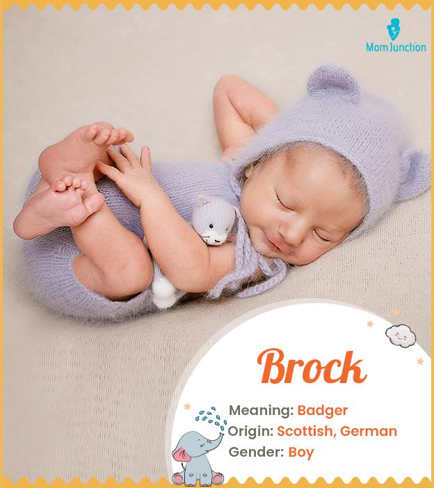 Brock Name Meaning, Origin, History, And Popularity