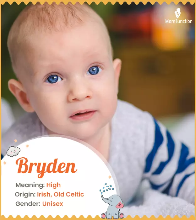 Origin, Meaning & Other Facts About Baby Name Bryden Name Meaning And ...