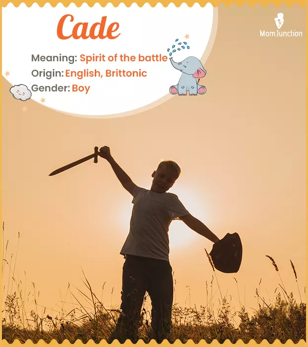 Cade Name Meaning, Origin, History, And Popularity