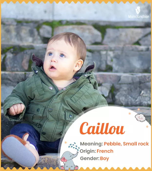 Caillou: Meaning, Origin, Popularity