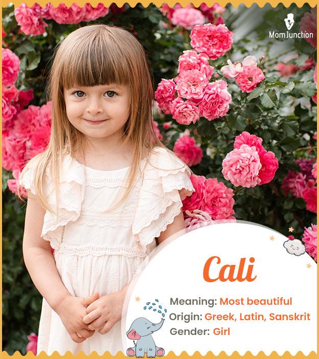 Cali Name Meaning, Origin, History, And Popularity