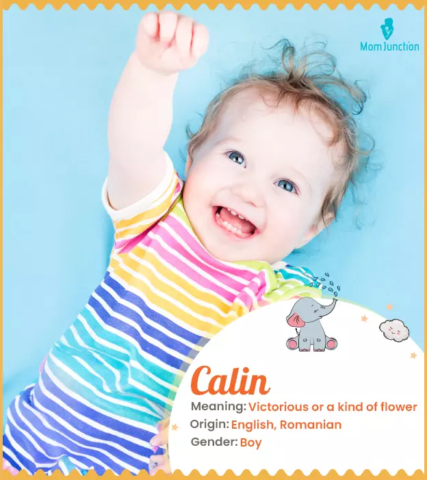 Calin Name Meaning, Origin, And History: Expert Guide: Meaning, Origin ...
