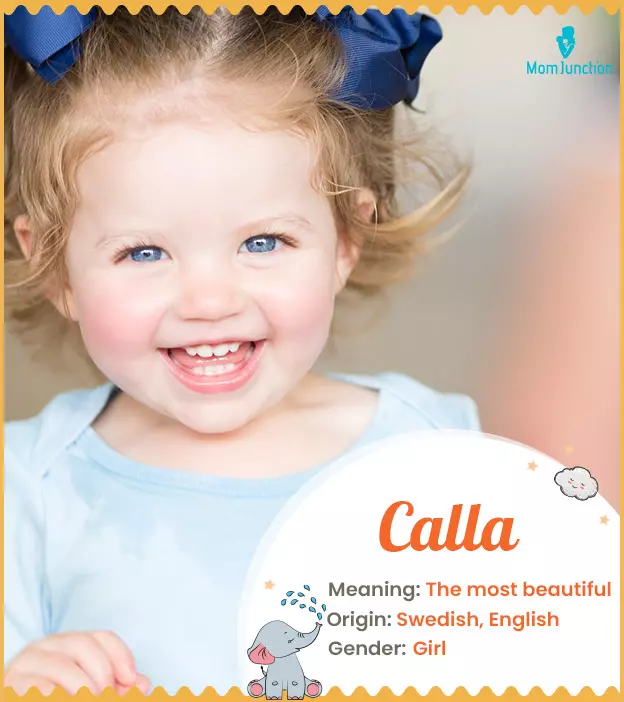 Calla Name Meaning, Origin, History, And Popularity