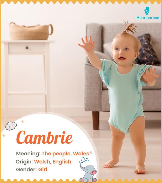 Cambrie: Meaning, Origin, Popularity