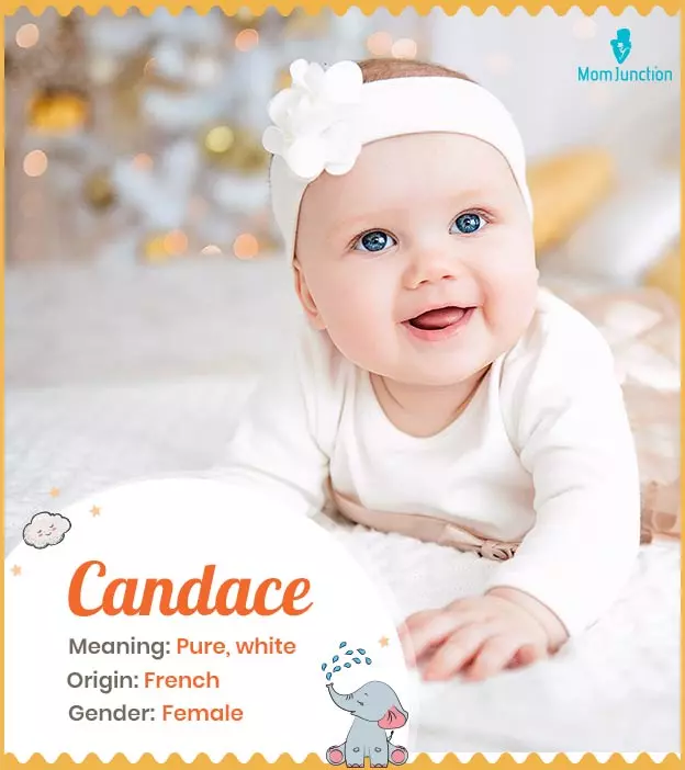 Candace Name Meaning: History, Popularity & Nicknames