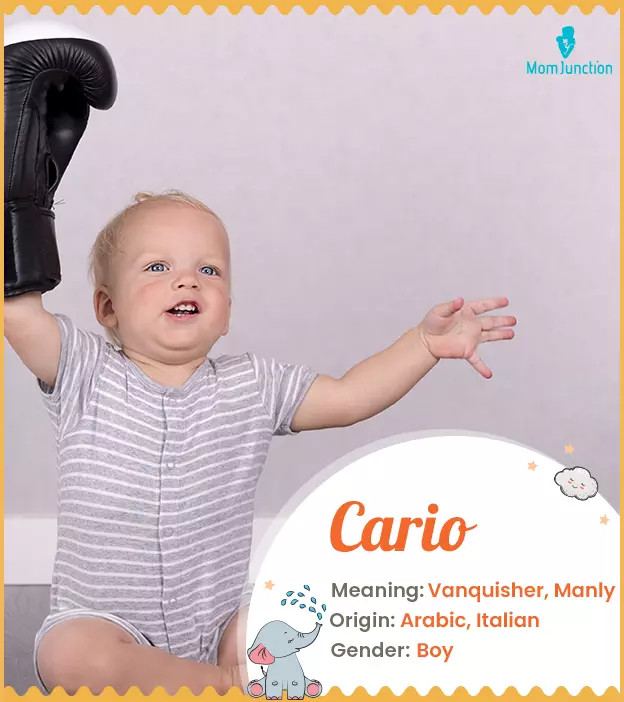 Cario: Meaning, Origin, Popularity