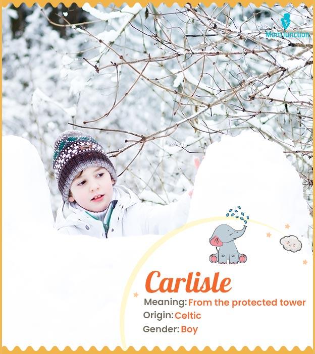 Explore Joss: Meaning, Origin & Popularity