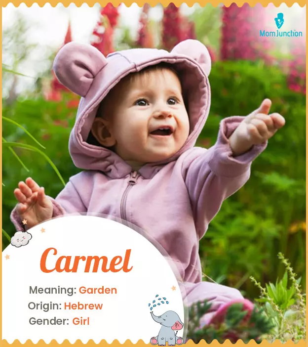 Carmel Name Meaning, Origin, History, And Popularity