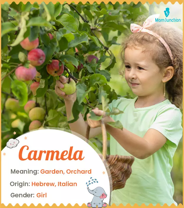 Carmela Name Meaning, Origin, History, And Popularity