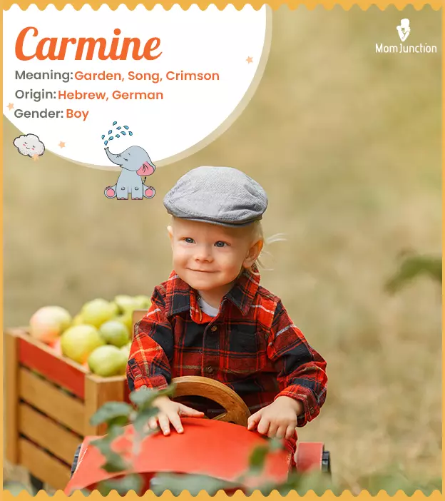 Carmine Name Meaning, Origin, History, And Popularity