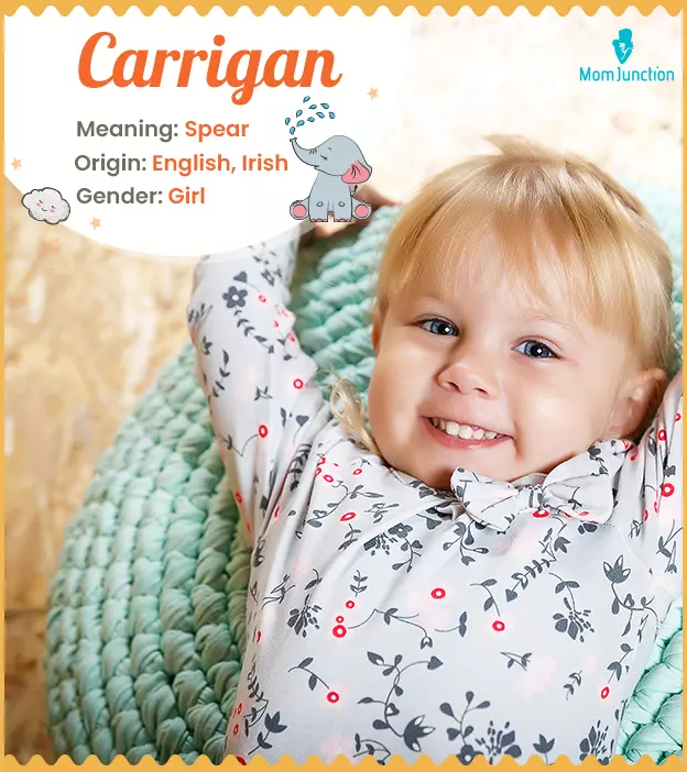 Carrigan: Meaning, Origin, Popularity