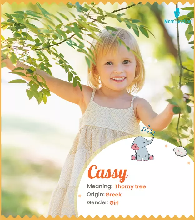 Cassy: Meaning, Origin, Popularity