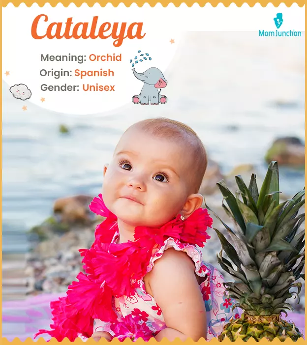Cataleya Name, Origin, Meaning, And History