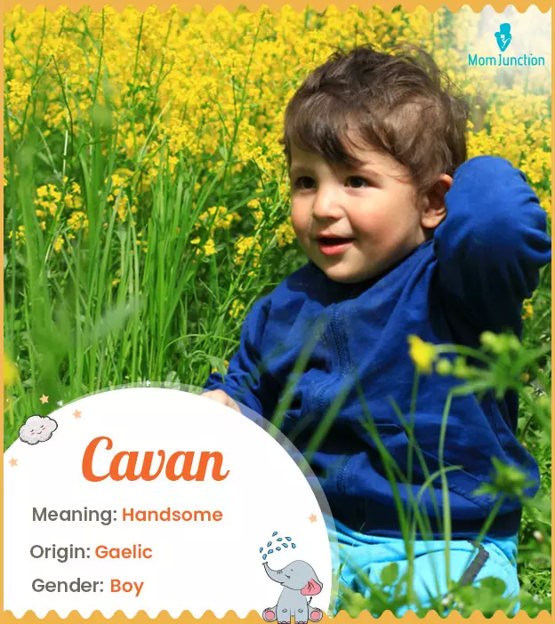 Cavan Name Meaning, Origin, History, And Popularity
