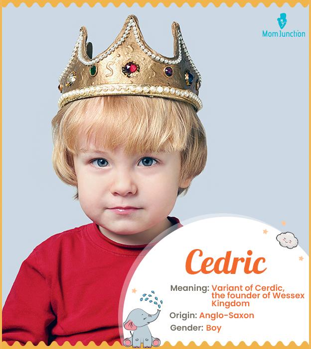 Cedric Name Meaning, Origin, History, And Popularity