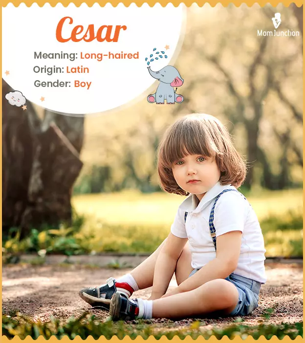 Cesar Name Meaning And Origin: Everything You Need To Know