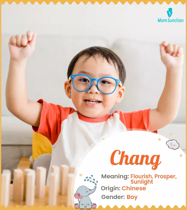 Chang Name Meaning And Origin: A Complete Guide