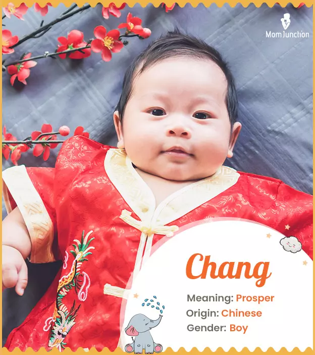 Channing Name Meaning, Origin, History, And Popularity