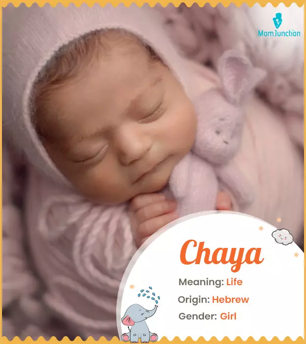 Chaya Name Meaning, Origin, History, And Popularity