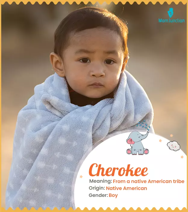 Cherokee Name Meaning, Origin, History, And Popularity