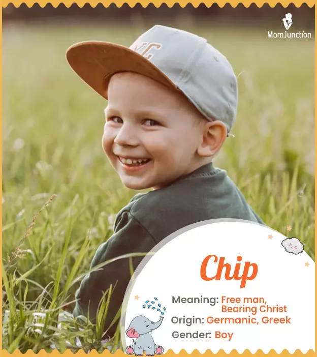 Chip: Meaning, Origin, Popularity