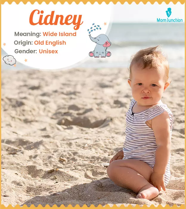 Cidney Meaning, Origin, History, And Popularity