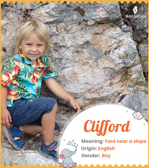 Clifford Name Meaning, Origin, History, And Popularity