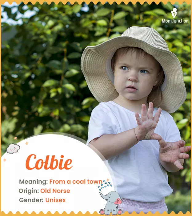 Colbie Name Meaning And Origin: A Complete Guide